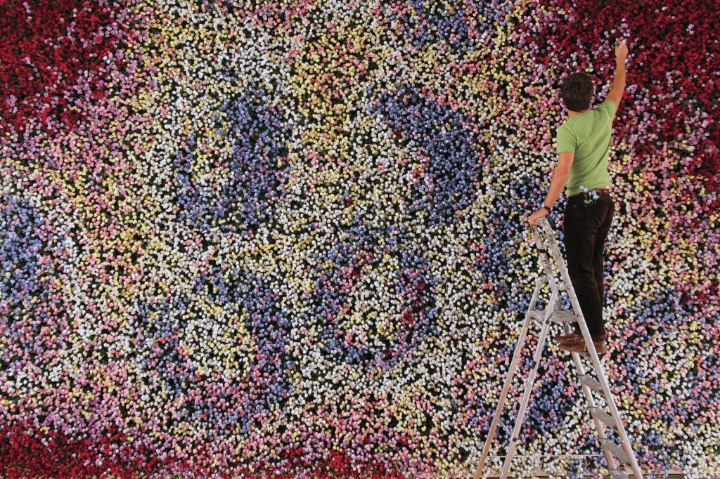 Viral Planting – M i c h a e l P i n s k y