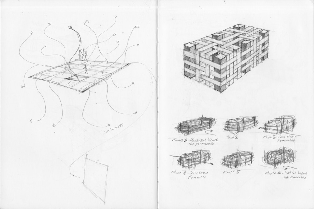 Drawings – M i c h a e l P i n s k y